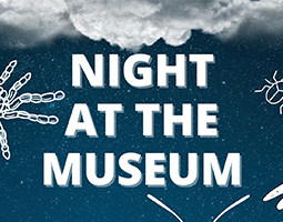 Night at the Museum